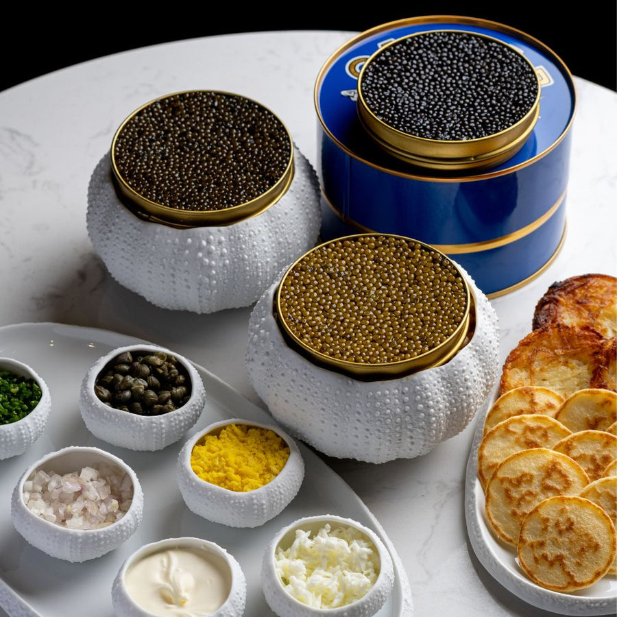Premium Caviar Suppliers in Abu Dhabi – Buy Luxury Caviar Online UAE